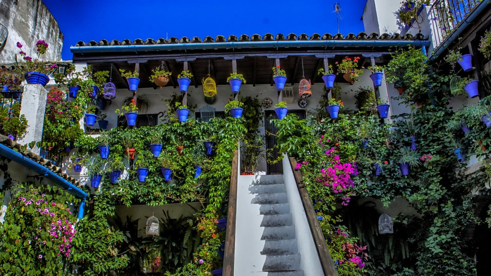 Cordoba's Patios Festival, how to visit them - Visitanddo